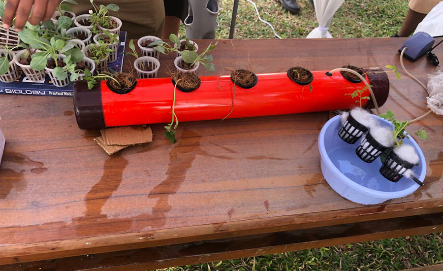 Rama Devi Public School